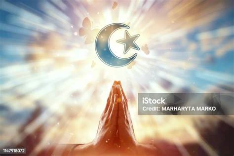 이슬람 기도 별과 달의 상징의 배경에 대 한 손 근접 촬영 나비의 무리는 파리 희망 신앙 종교의 개념 소망과 자유의 상징 이슬람 Dhikr에 대한 스톡 사진 및 기타 이미지