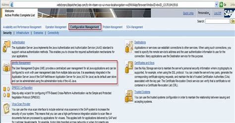 Password Rest Functionality Configurations On The Sap Community