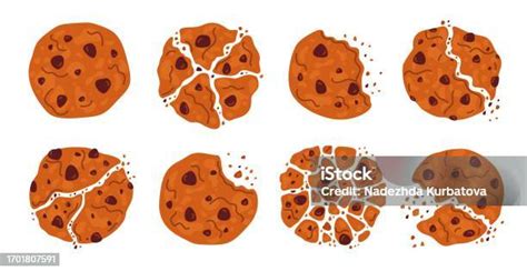 초콜릿 조각으로 부서진 쿠키 깨진 바삭 바삭한 클래식 비스킷 수제 달콤한 크래커 쇼트브레드 베이킹 무는 과자 격리 된 오트밀 생과자 화려한 벡터 세트 개체 그룹에 대한 스톡