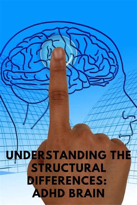 Adhd Brain Vs Normal Brain Functions Differences More Artofit
