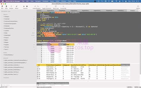 Native Sqlite Manager V1301一个极简的 Sqlite 数据库管理器 黑苹果屋