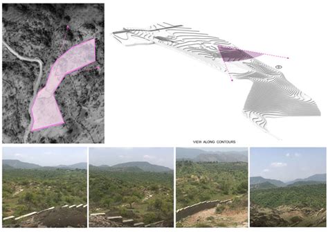 Capturing Calligraphic Curves India Art N Design