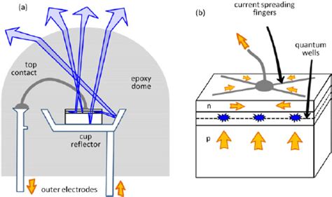 Cross Section Of An LED A Traditional Encapsulated LED The LED Download Scientific