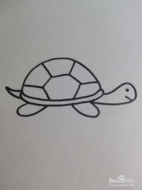 简单画乌龟的画法图片 乌龟画图片大全简单 伤感说说吧