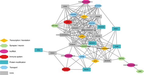 gene gene interaction map of significant correlations that were