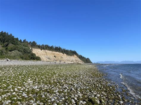 Historic Weekend In Blaine And Point Roberts Maritime Washington
