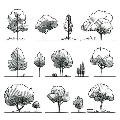 Hedge Sketch Images Free Download On Freepik