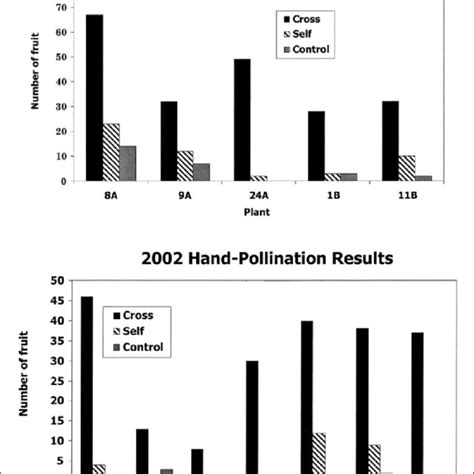 Line Drawing Of Flowers Of Crenulate Leadplant Female Phase Left