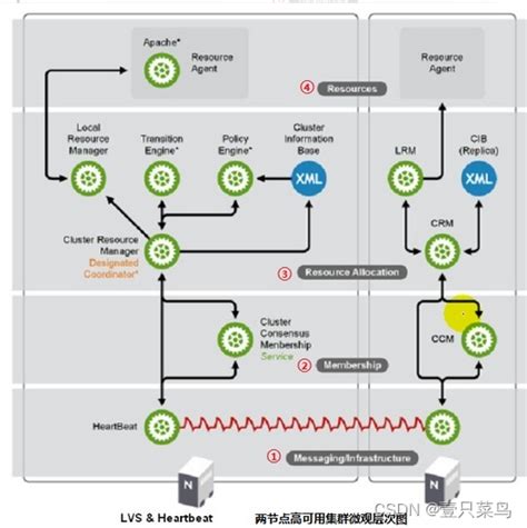 chapter 1 linux 集群 csdn博客