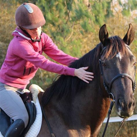 Equine Influenza A Complete Guide To Symptoms Prevention And