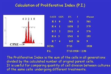 Cell Division Tracking Using CFSE Bruce Lyons Division