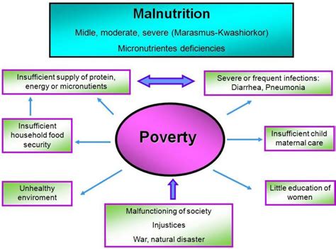 Malnutrition And Gastrointestinal And Respiratory Infections In