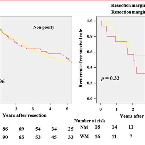 The Influence Of The Resection Margin Width On Recurrence Free Survival Download Scientific