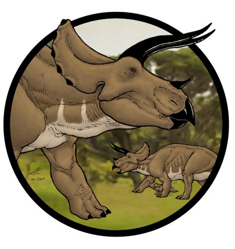 Vote For The Triceratops T Shirt On Graphic Tide And Twitter