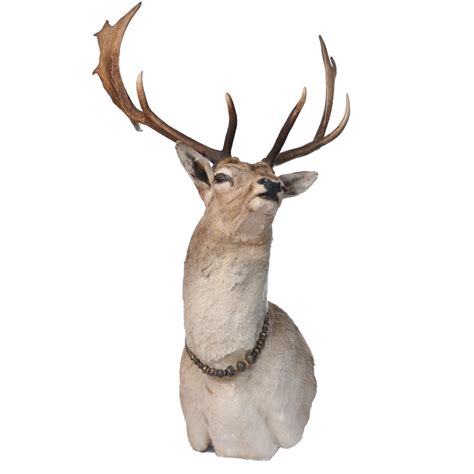 Deer Head Theme Productions
