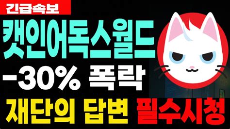 캣인어독스월드코인 Mew 긴급속보 30 폭락 재단의 답변 필수시청 코미녀tv Youtube