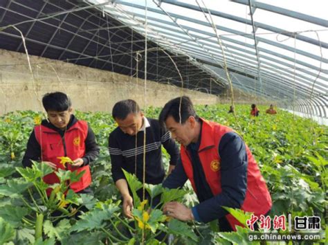 助力济临东西协作 践行国企责任担当