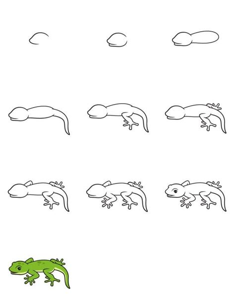 22 Easy And Cute Lizard Drawing Ideas Drawing Photos