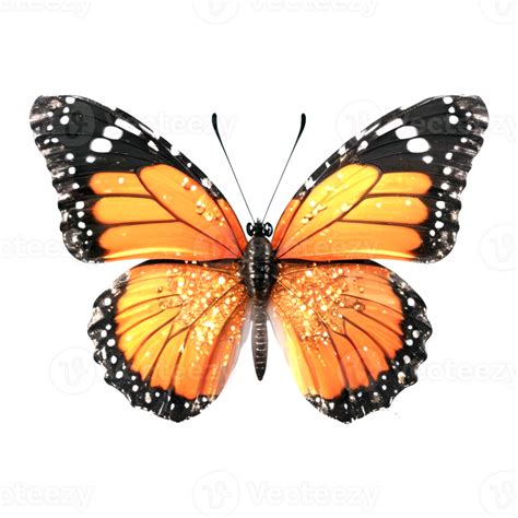 Beautiful Glitter Butterfly 46893105 Png