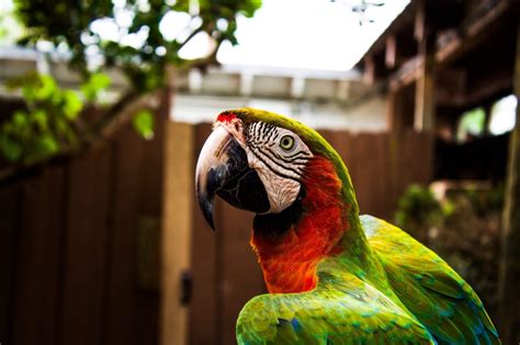Using The Elements Of Visual Design To Create Your Best Photos