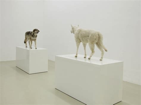 Social Network Analysis Nodus Labs Ecological Thinking Through Network Analysis