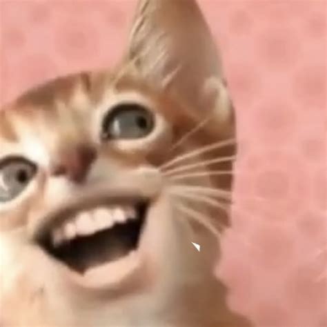 Emily Face Youtube