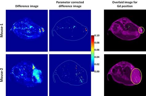 Parameter Corrected Difference Image Left Column Is Showing The