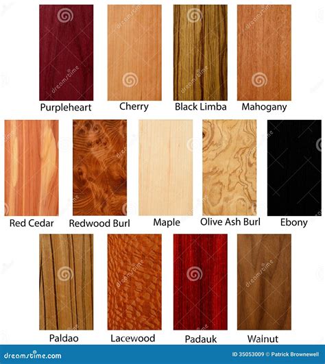 Wood Textures Stock Image Image Of Ebony Hardwood Tree 35053009