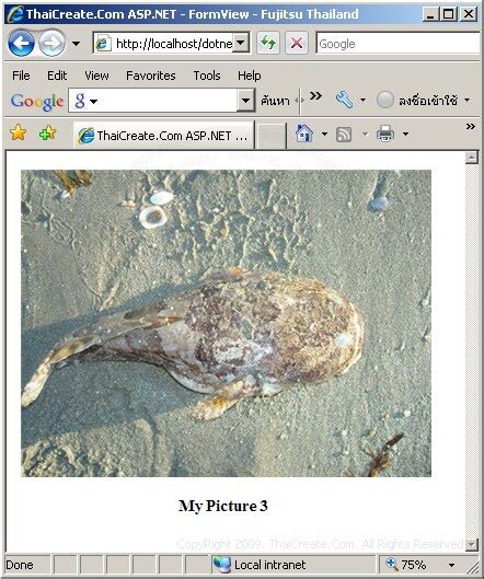 C Aspnet Formview Control Databound