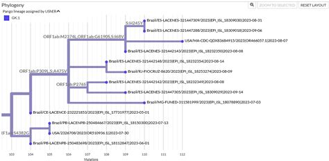 Gk1 Sublineage With Orf1ap309l And Sa475v 10 Seq Brazil Usa