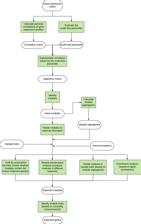 The Workflow Of Gene Co Expression Network Gcn Analysis For