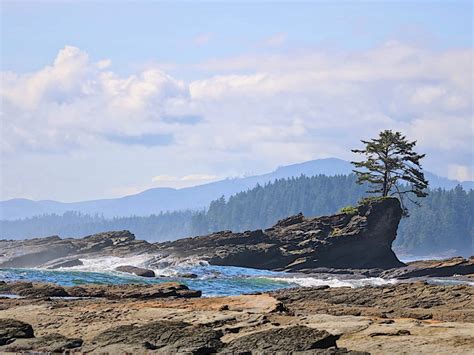 Your Complete Guide To The West Coast Trail On Vancouver Island Out
