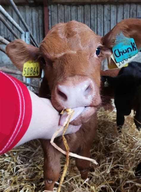 Pictures Of Marble 🖤🤍 R Modernmoo