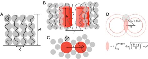 Brush Induced Depletion Interactions A Illustration Of Brush
