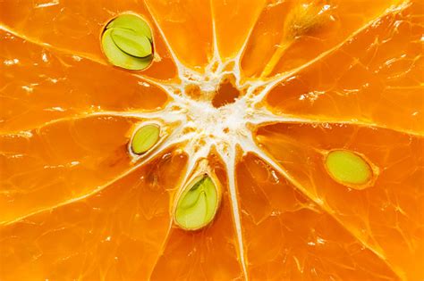 매크로 오렌지 흰색 배경에 거품이 있는 물에 신선한 오렌지 슬라이스 0명에 대한 스톡 사진 및 기타 이미지 0명 감귤류 과일 개체 그룹 Istock