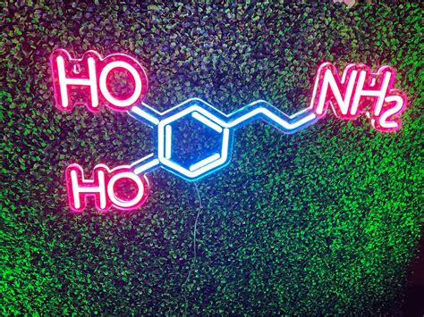 Dopamine Neon Sign Neonchili