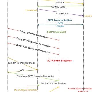 Sequence Flow Of SCTP Checkpoint Download Scientific Diagram