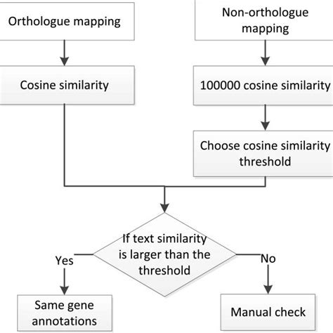 Flowchart Of Gene Annotation Determination Procedure Download Scientific Diagram