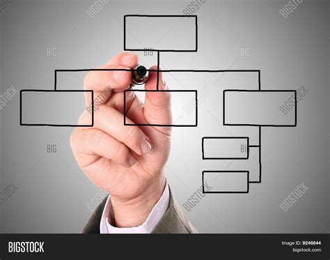 Imagen Y Foto Organigrama Prueba Gratis Bigstock