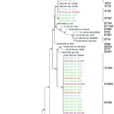 Phylogenetic Tree Of Concatenated Mlst Gene Alleles Adk Fumc Icd