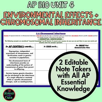 Chromosomal Inheritance Theory For AP Bio By Science With Cara TPT