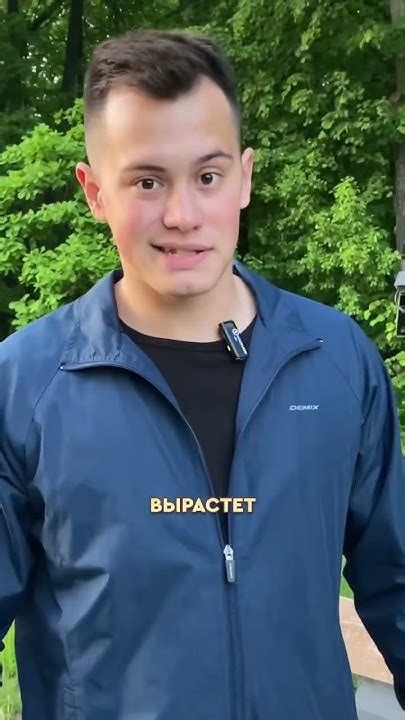 Как тренировать попу дома Youtube