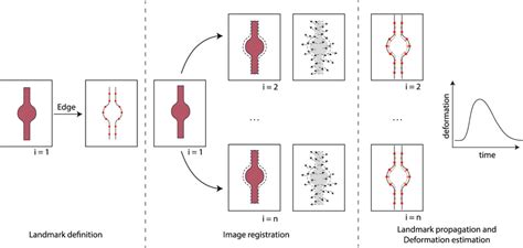 deformation estimation approach using the edge information of the download scientific diagram