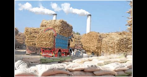 Why Is Pakistan Importing Sugar Again 500000 Tonne Approval Raises Sugar Mafia Debate