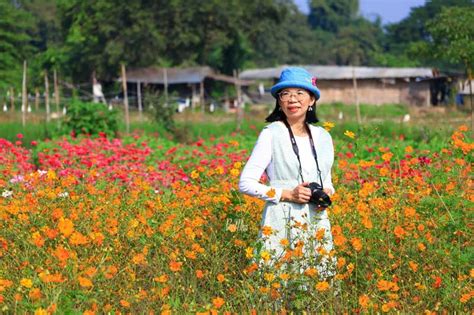 สวนป้านกเอี้ยง ที่เที่ยวสวนดอกไม้แม่ริม เชียงใหม่