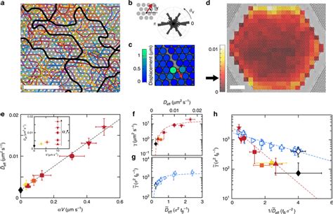 Microscopic Dynamics A Individual Trajectories Of Self Propelled