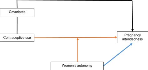 Diagrammatic Representation Of The Conceptual Framework Download