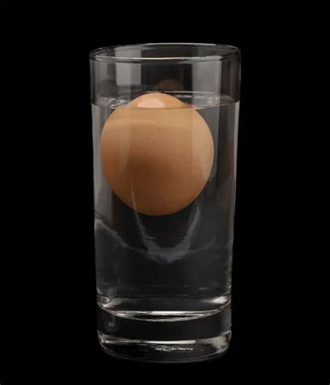 egg float test myths procedure chart hypothesis vs reality in 2023 egg float test fresh