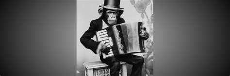 Building An Accordion Widget Or Expanding Collapsible Panels Toggles Etc Appsmith