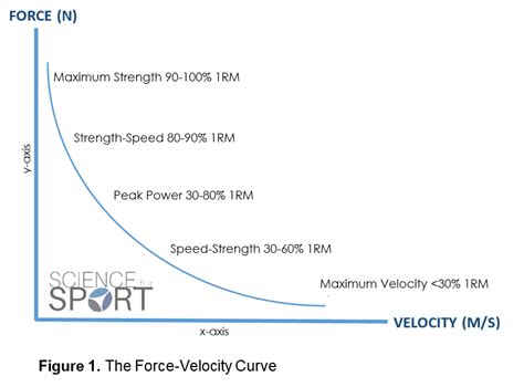 Train Smart Understanding The Force Velocity Curve